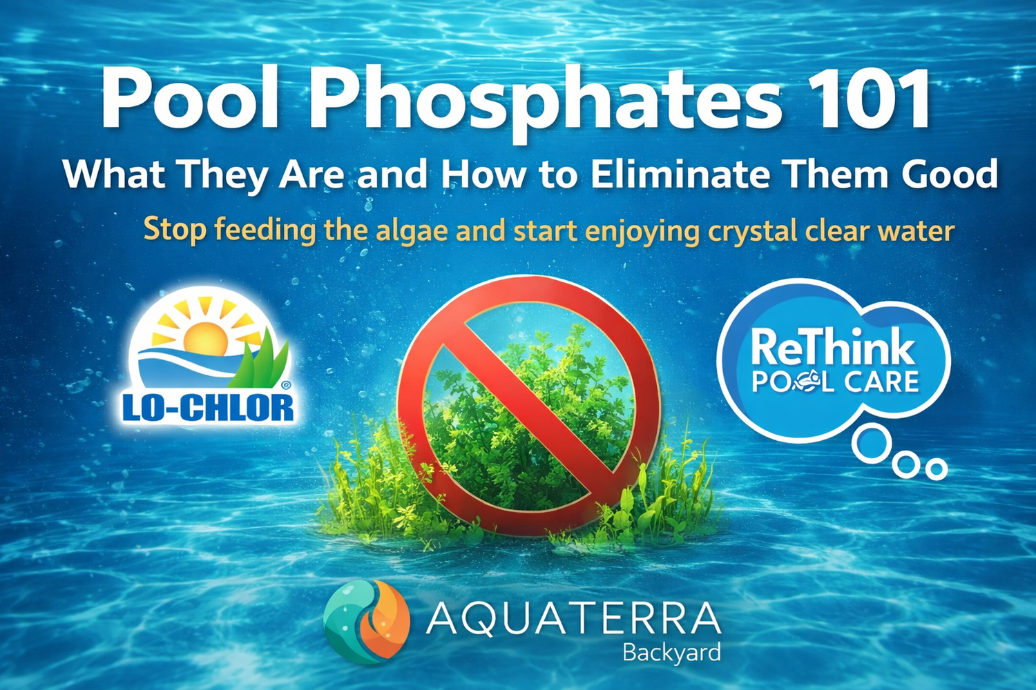 Pool Phosphates 101: What They Are & How to Remove Them Fast – Aqua ...