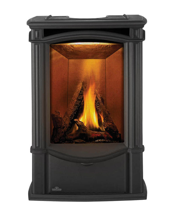 Napoleon GDS26N-1 Direct Vent Natural Gas Stove Castlemore – Aqua Terra ...